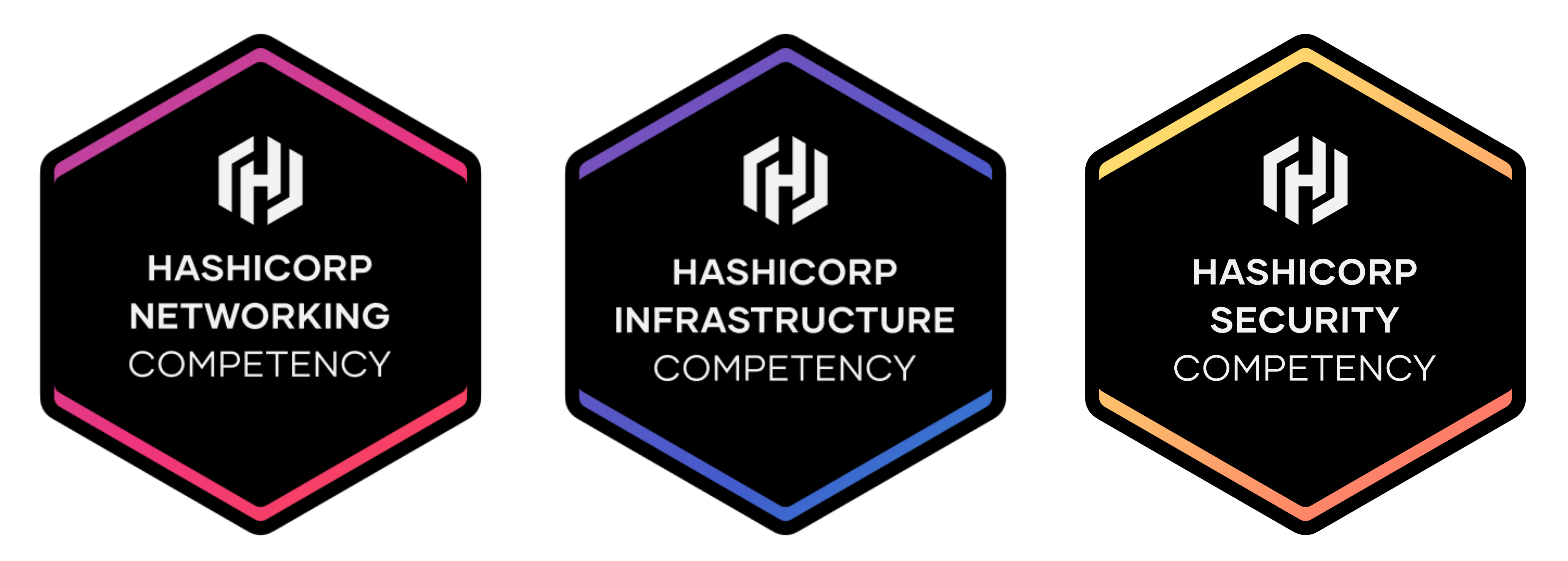 River Point Technology - River Point Technology Makes History: First HashiCorp Partner to ...